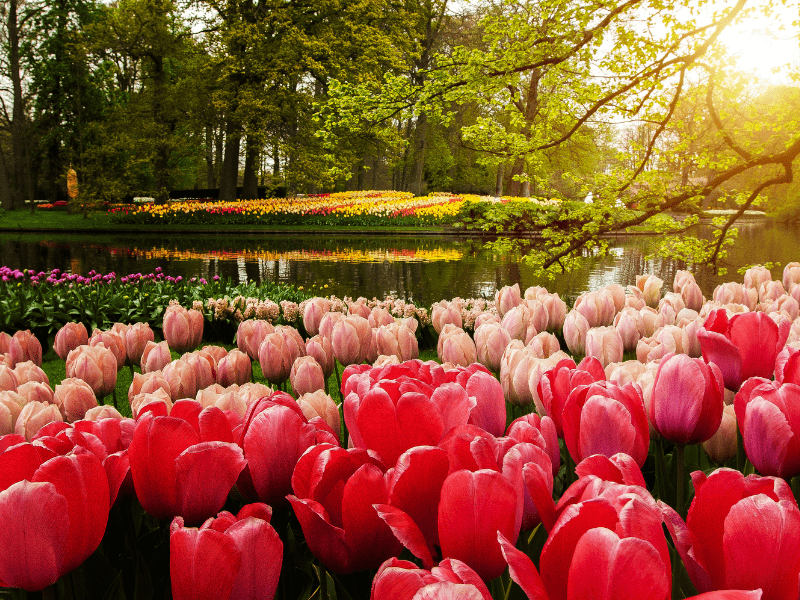 The Best Spring Getaways Near Delaware | Bromwell Construction